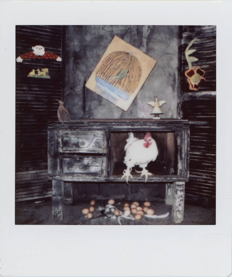 Roger Ballen - Reflex Amsterdam